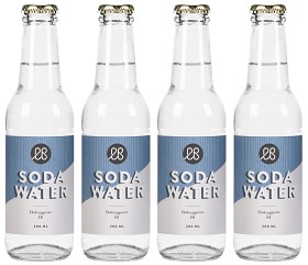 Köp Ekobryggeriet Soda Water 4x200 ml på delitea.se
