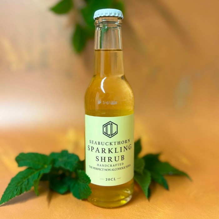 Köp Infused Liquid Sparkling Shrub Havtorn 20cl på delitea.se